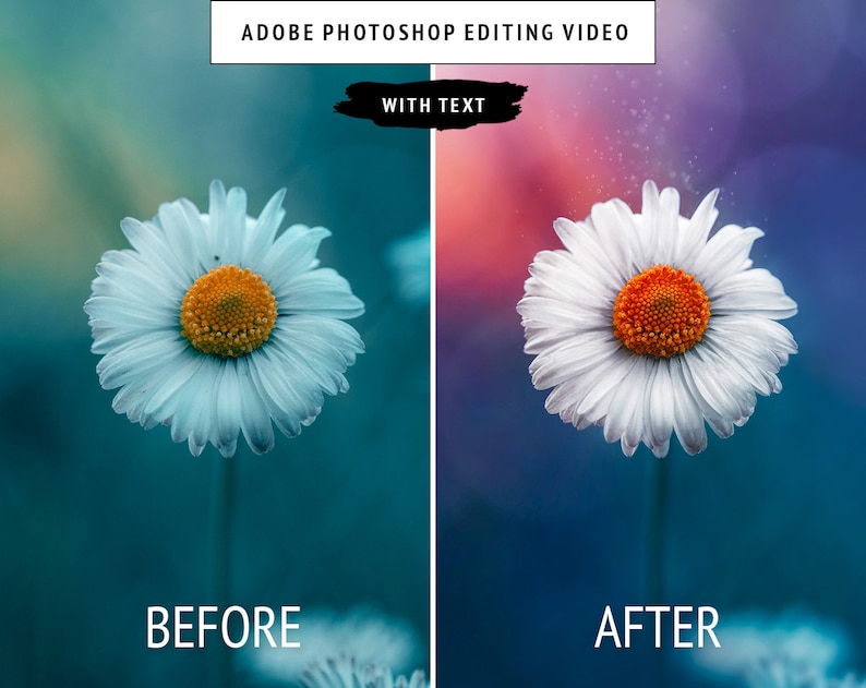 Adobe Photoshop Editing Video Tutorial With English Text: Colorful ...