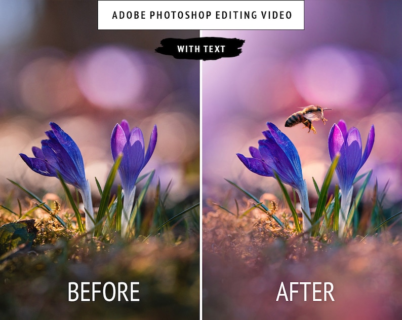 Adobe Photoshop Editing Video Tutorial With English Text: Macro With ...