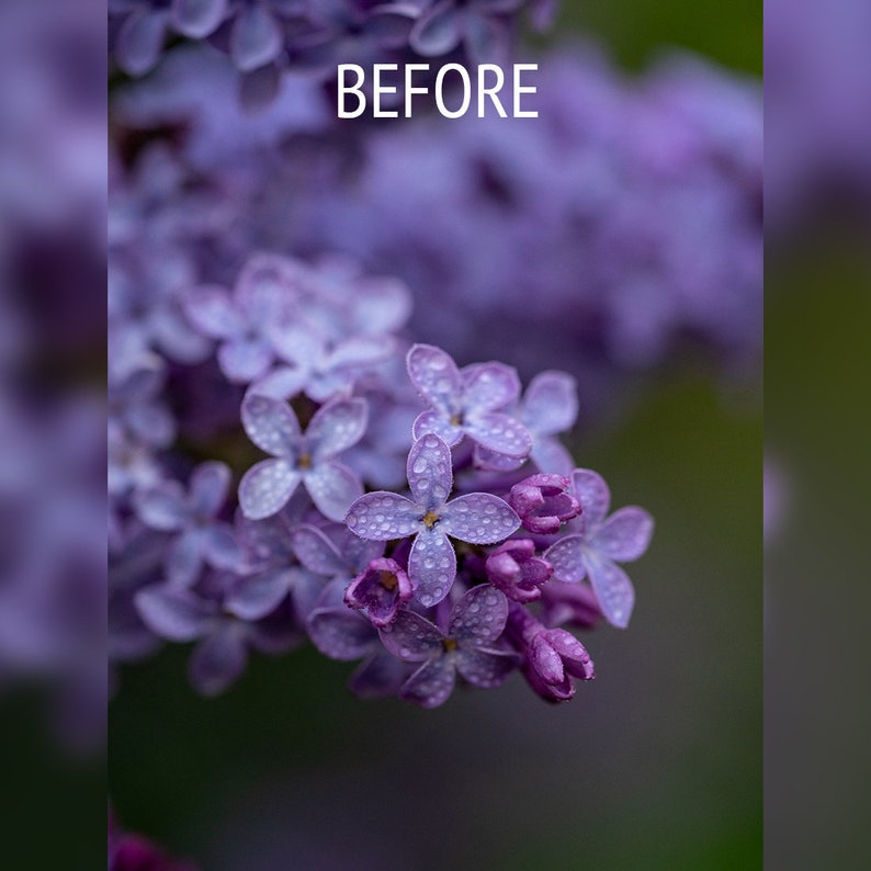 Adobe Lightroom Editing Video Tutorial With Voice & Text: Dreamy Lilac ...
