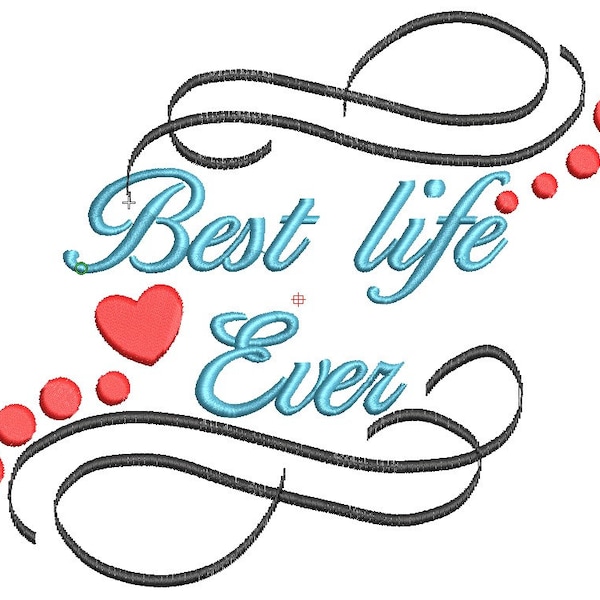 Best Life Ever - Etsy
