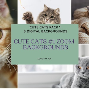Zoom Cute Cats Background 5-pack #1 - High Quality Zoom Background ...