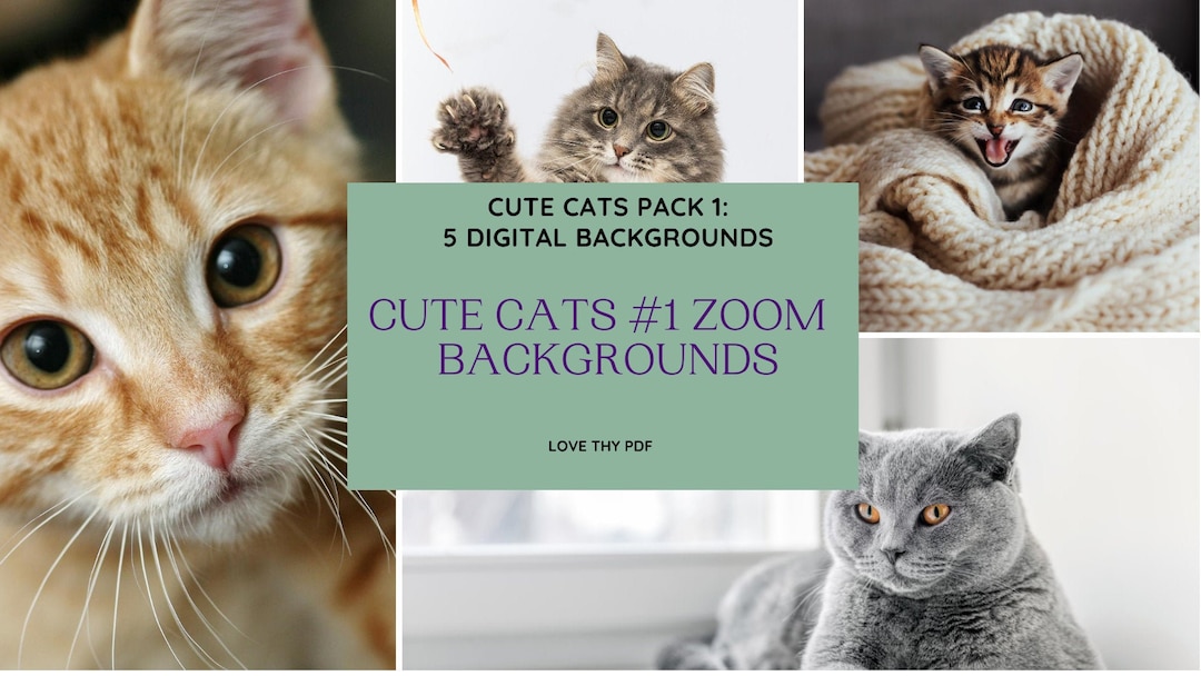 Zoom Cute Cats Background 5-pack #1 - High Quality Zoom Background ...