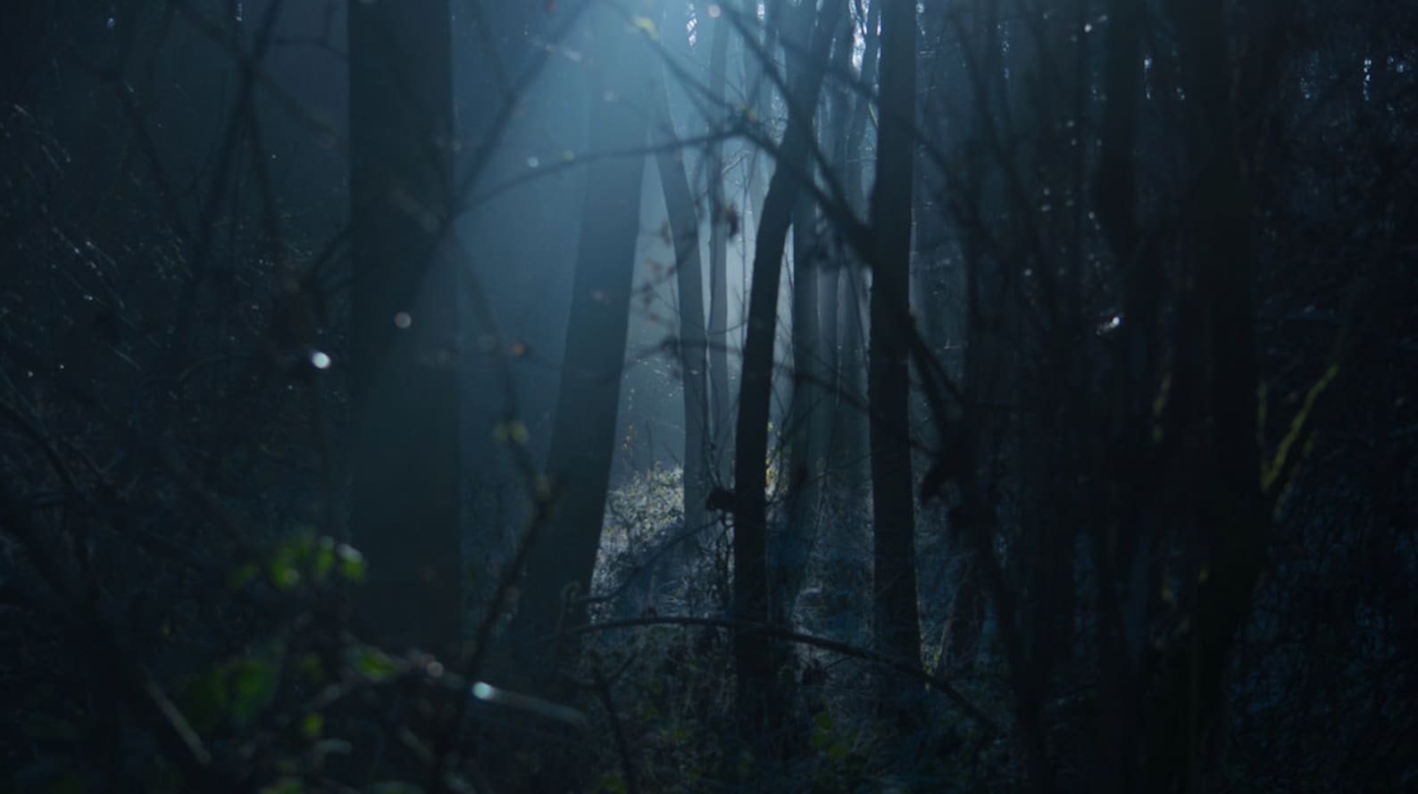 Zoom Dark Landscape Background 5-pack #2 - High Quality Zoom Background ...