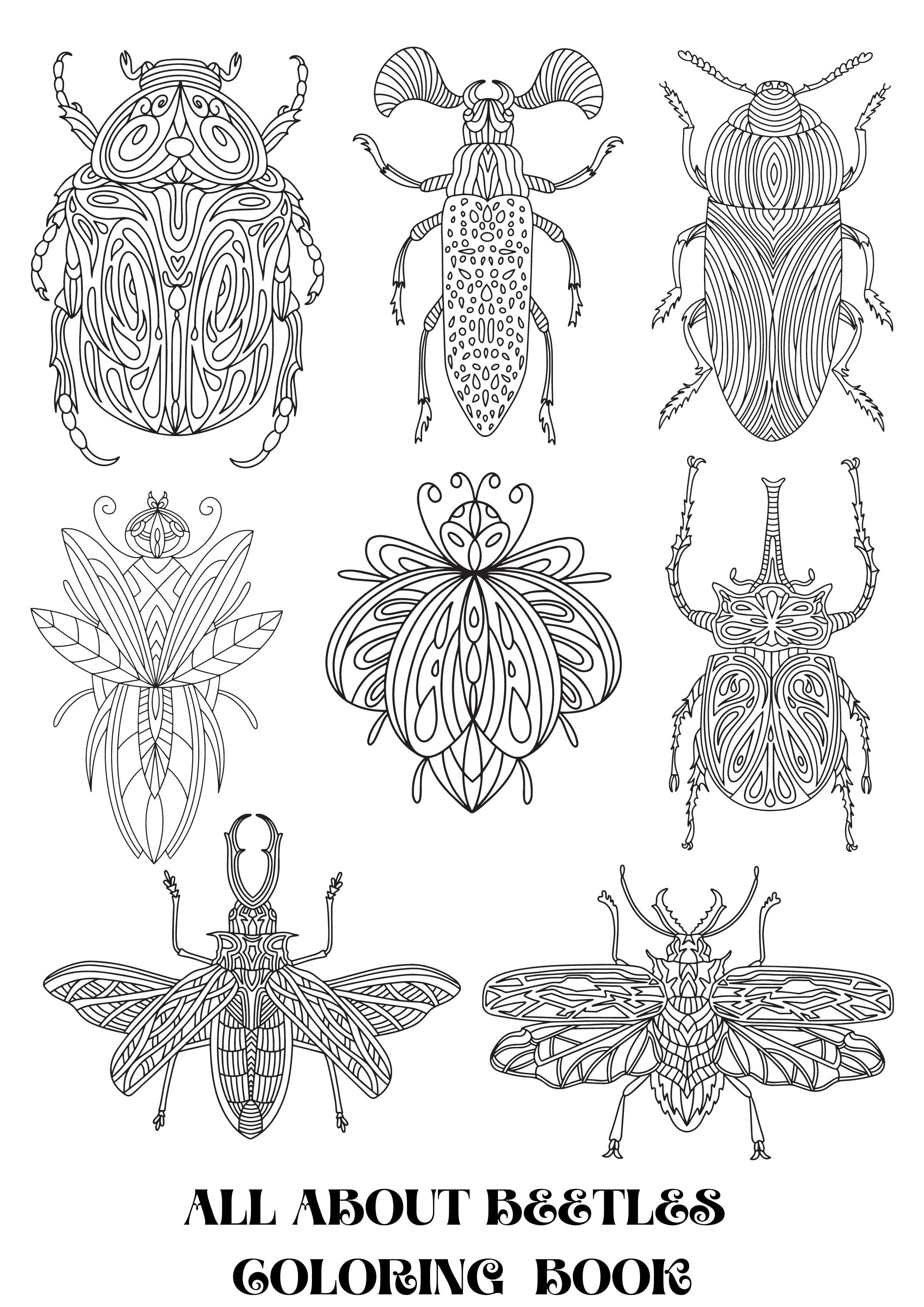 All About Beetles Coloring Book - Etsy