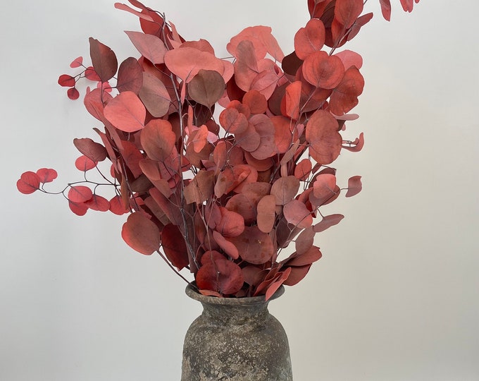 Preserved Eucalyptus Populus Large Red Eucalyptus Bunch - Etsy