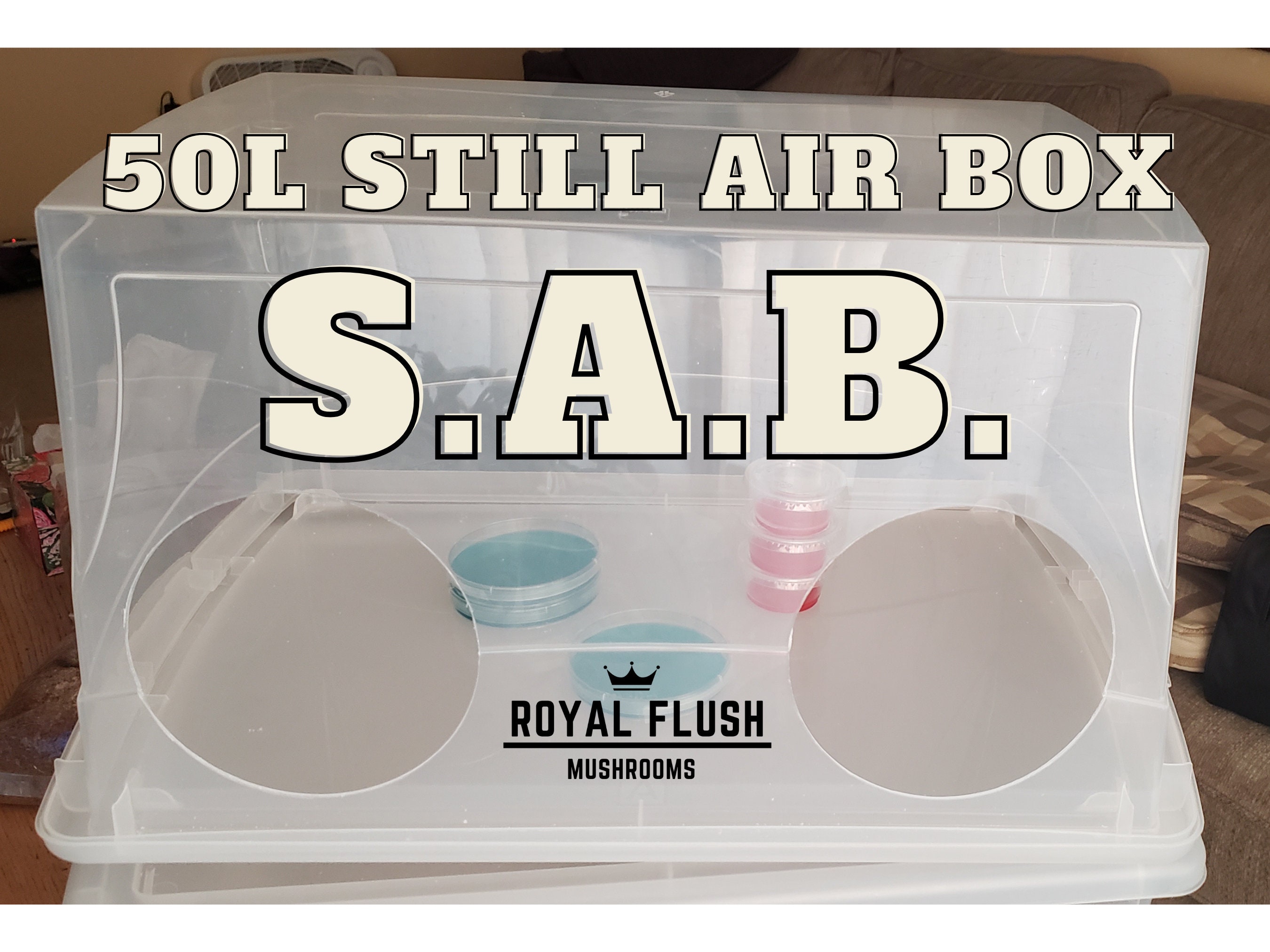 Still Air Box SAB 50L Includes 10 Agar Plates - Etsy