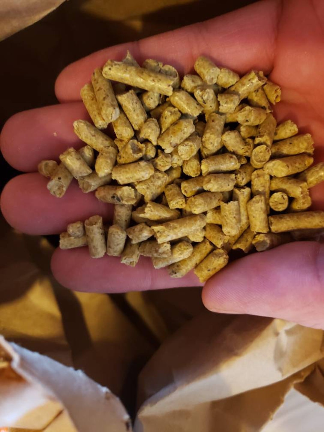 Pellets de cáscara de soja orgánica para el cultivo de hongos - Etsy España