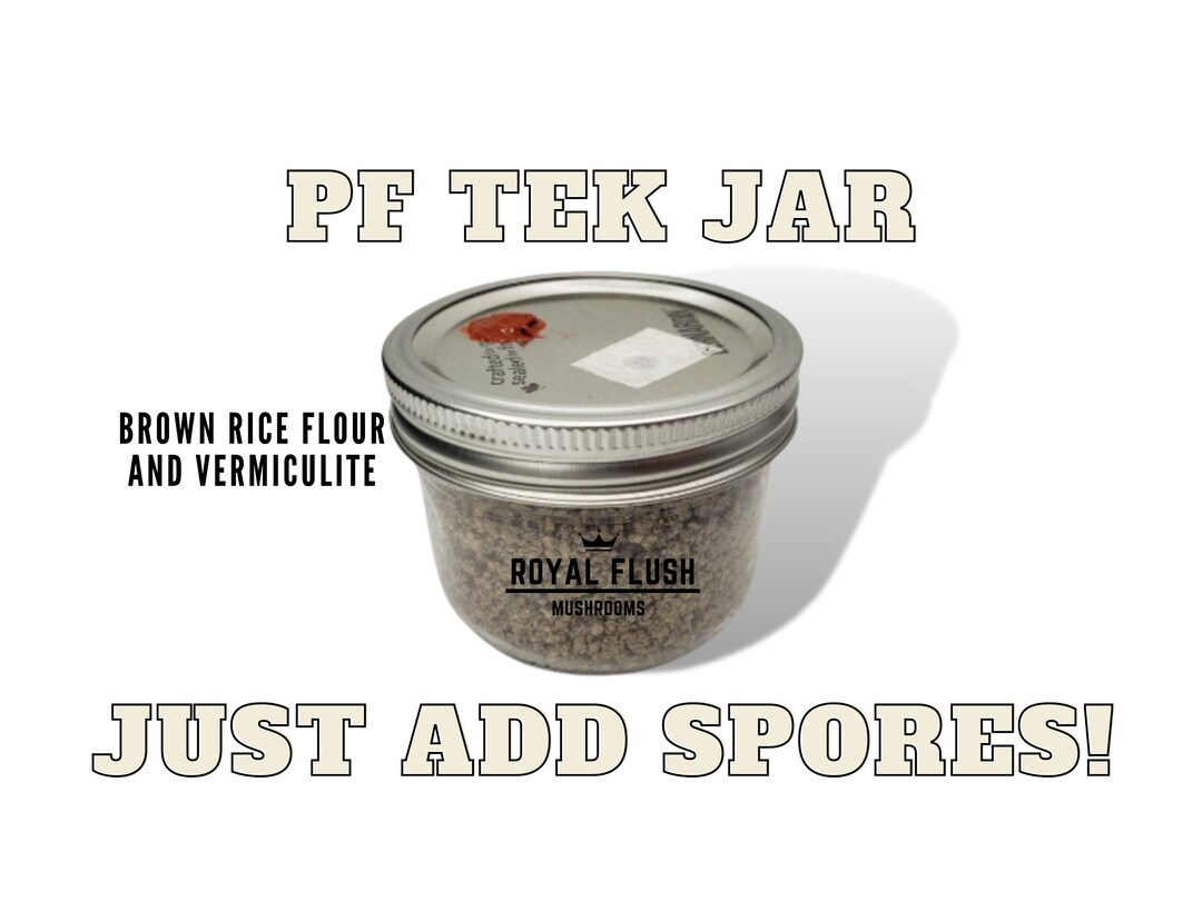 PF Tek Jar With Injection Port and Air Filter - Etsy