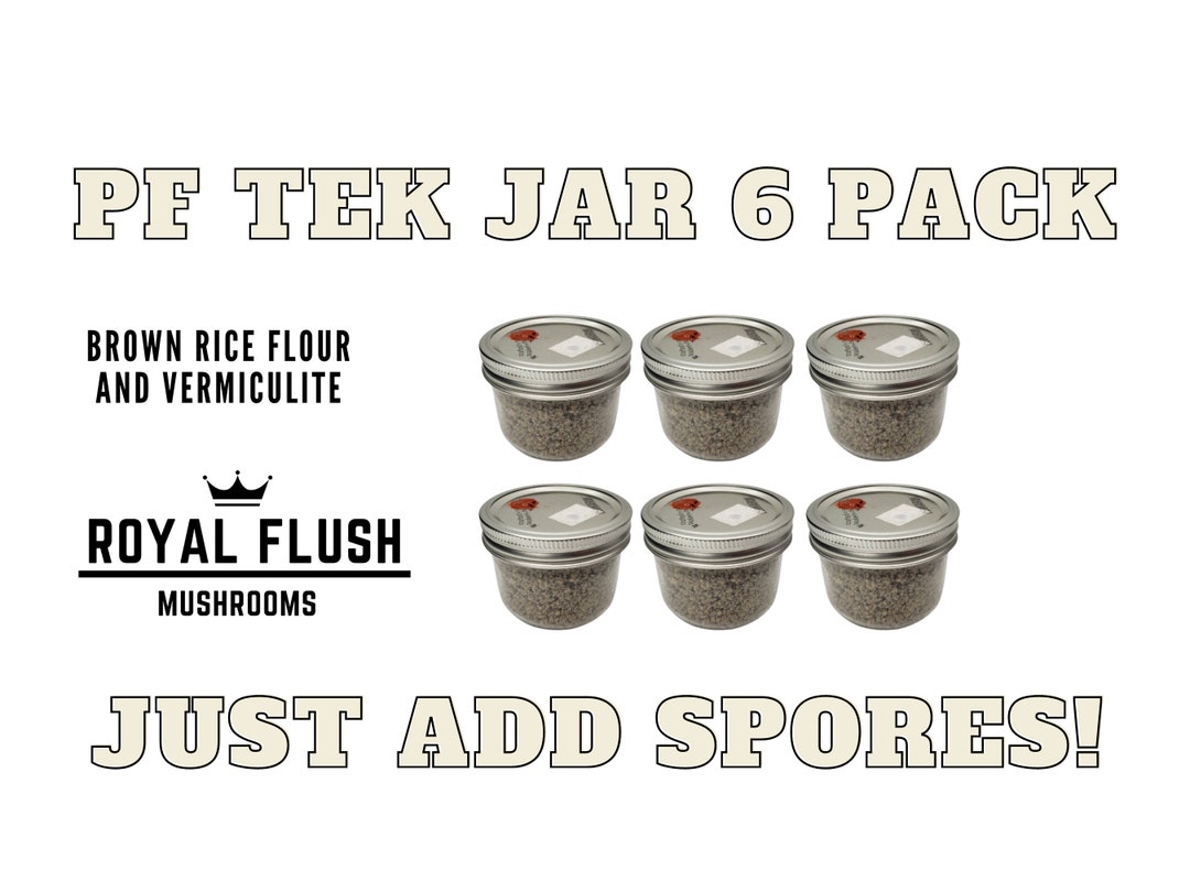 PF Tek Jar- 6 Pack - With Injection Ports and Air Filters - Etsy