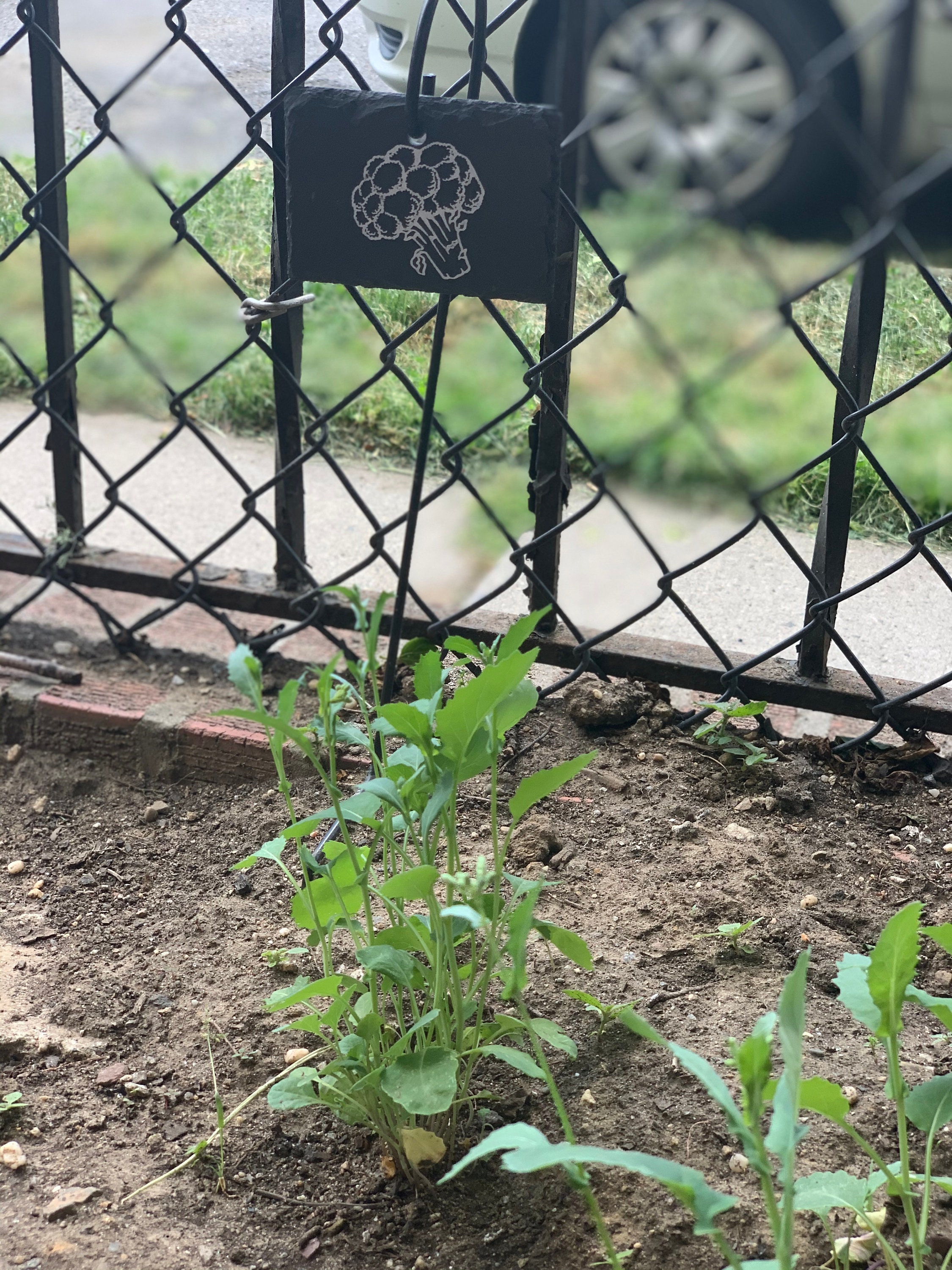 Natural Slate Garden Markers on Stainless Steel Stakes - Etsy