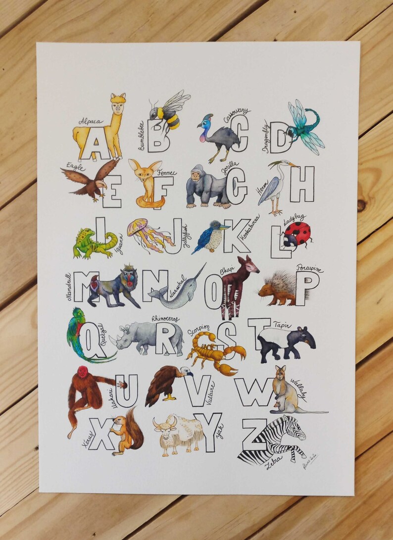 Animal Alphabet Poster - Etsy