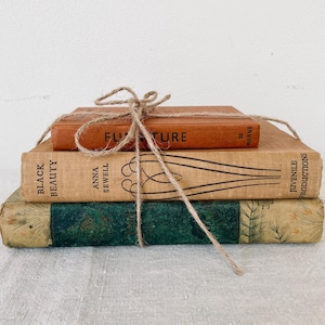 Vintage Book Bundle - Etsy
