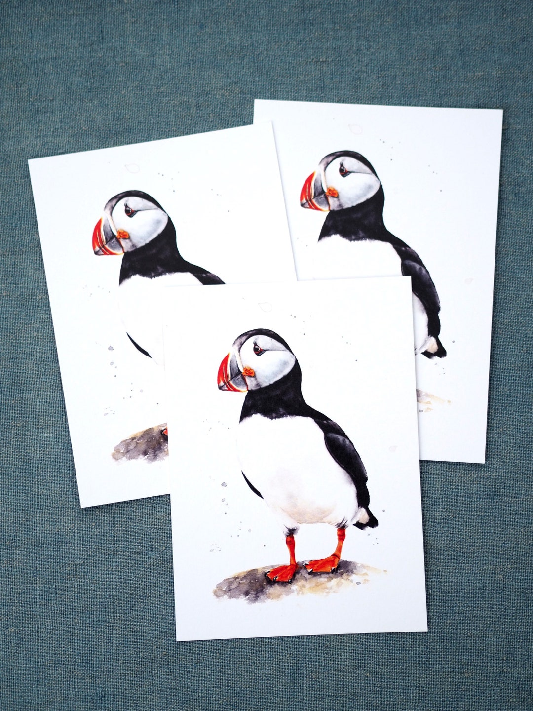 Postcard Puffin / Bird Card / Watercolor Postcard - Etsy