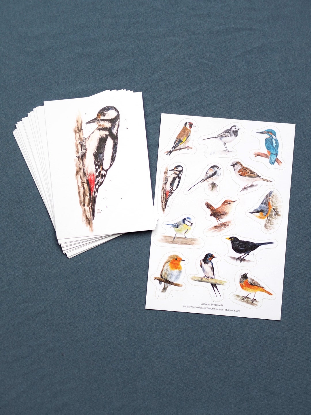 Large Set of Birds Postcards & Stickers - Etsy