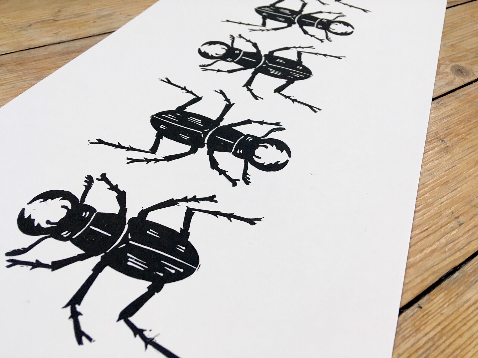 Stag Beetle Lino Print/ Lino Cut/ Hand Made/ Insects/ Print/ - Etsy