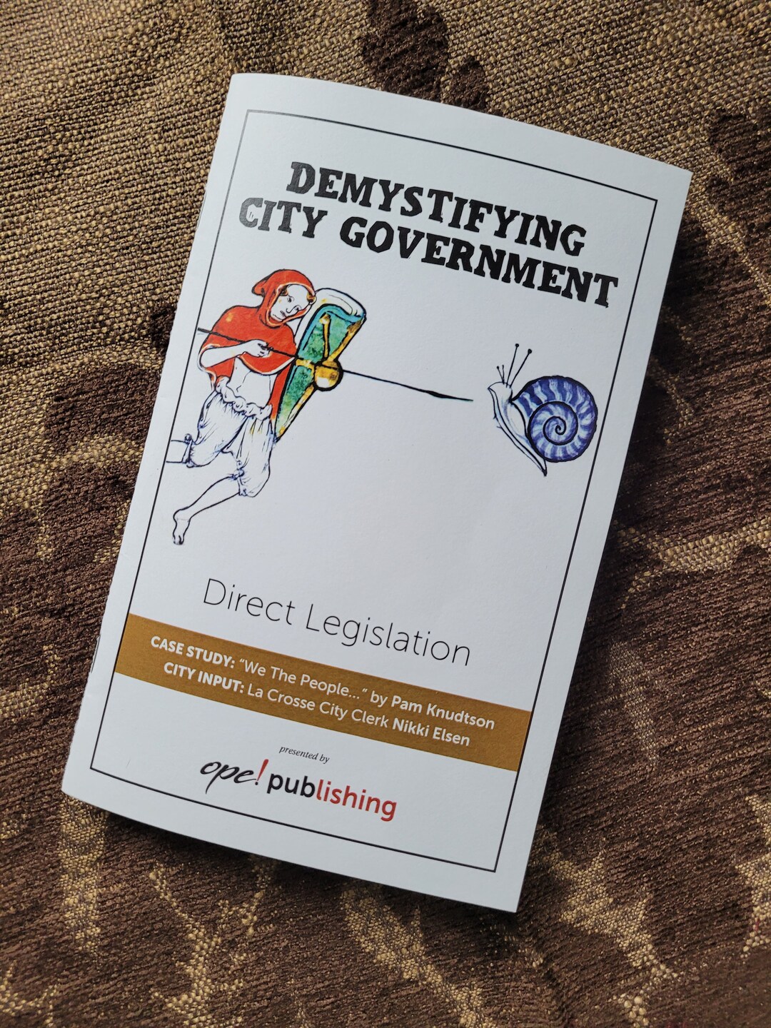 Demystifying City Government Volume 2: Direct Legislation - Etsy