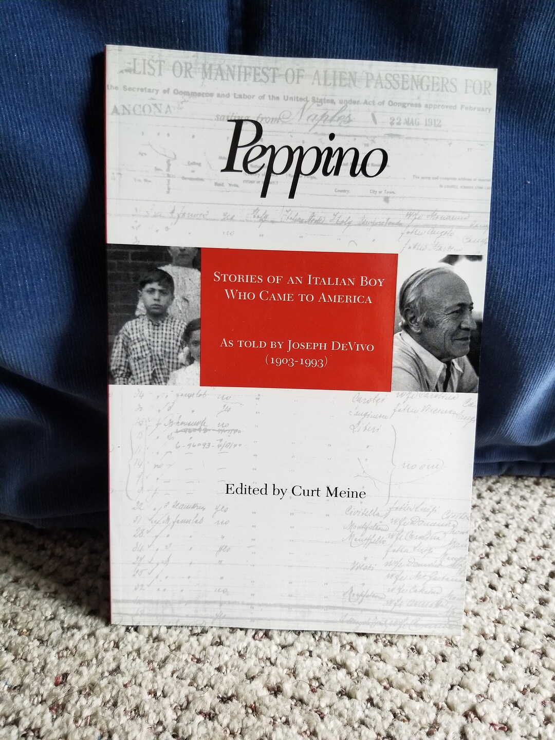 Peppino. Stories of an Italian Boy Who Came to America - Etsy