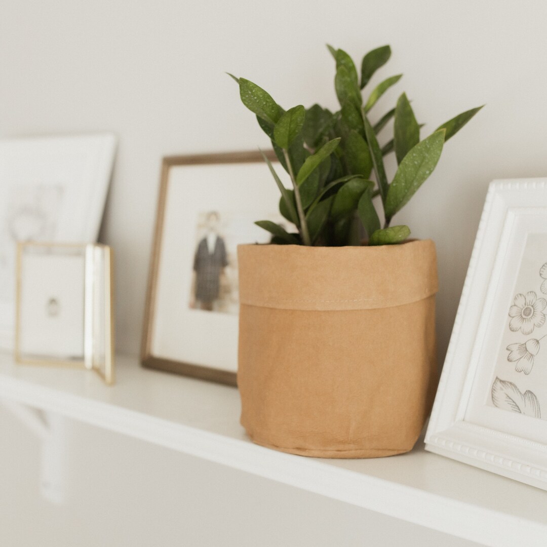 Plant Pot Waterproof Planter Bag for Plants Kraft Paper - Etsy