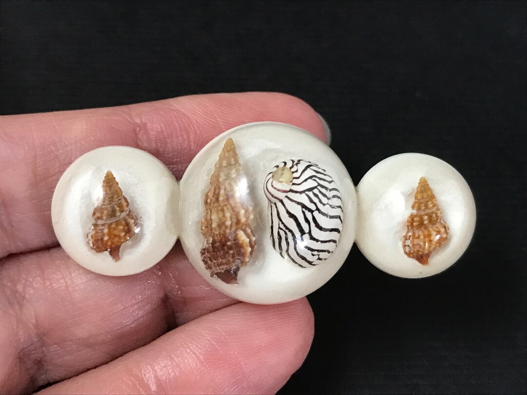 Vintage Mid Century 1960s or 1970s Triple Domed Lucite Real Seashell ...