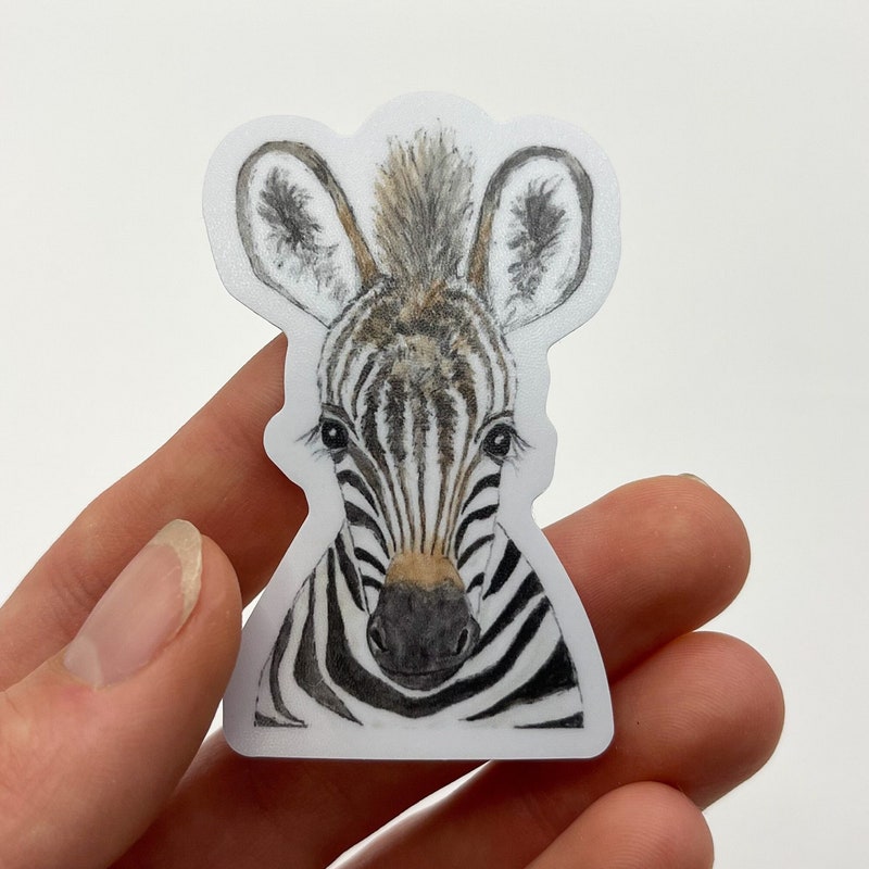 Zebra Decal - Etsy