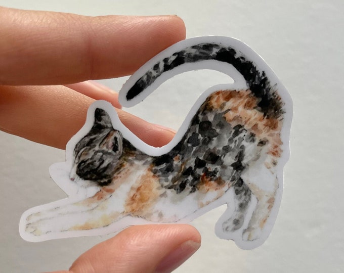 Vinyl Sticker transparent Kitten's Journal - Etsy