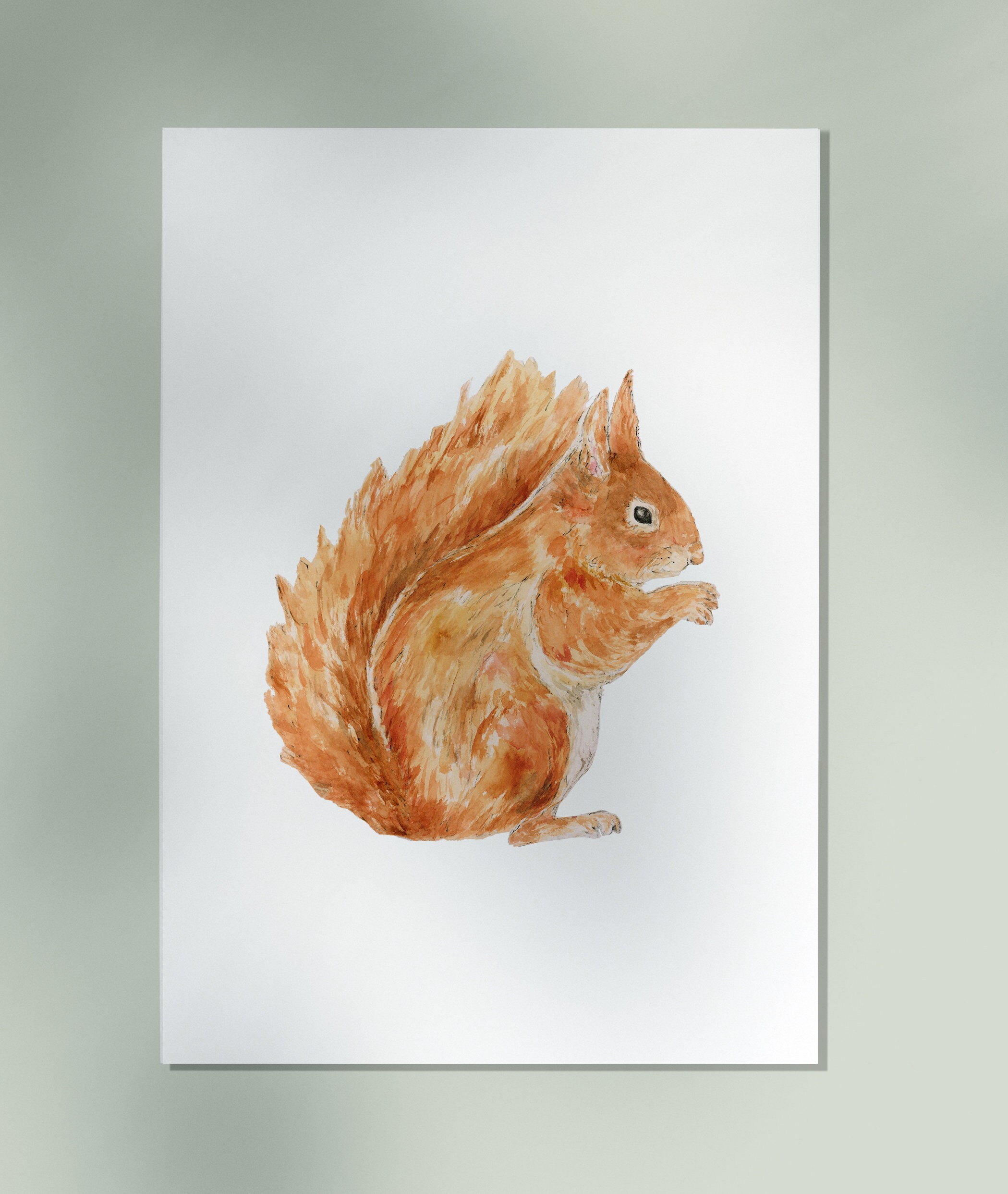 Squirrel Print Red Squirrel Woodland Forest Art Print | Etsy