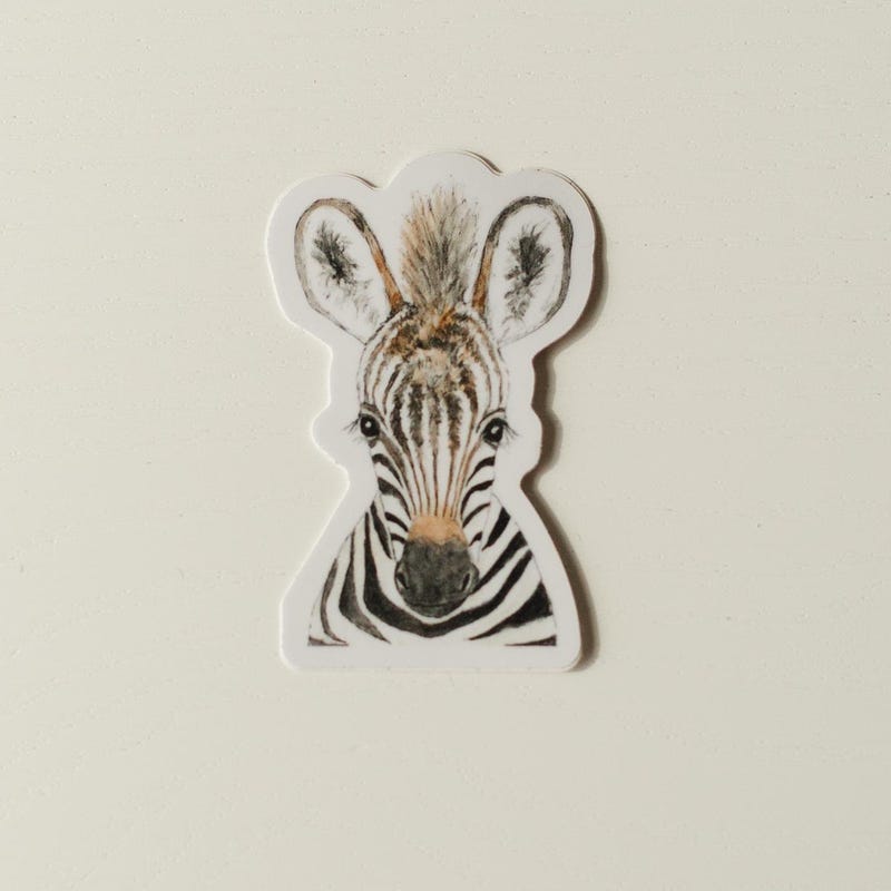 Zebra Decal - Etsy