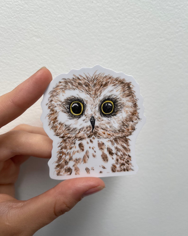 Owl Vinyl Sticker Owl Decal Owl Sticker Waterproof Sticker - Etsy