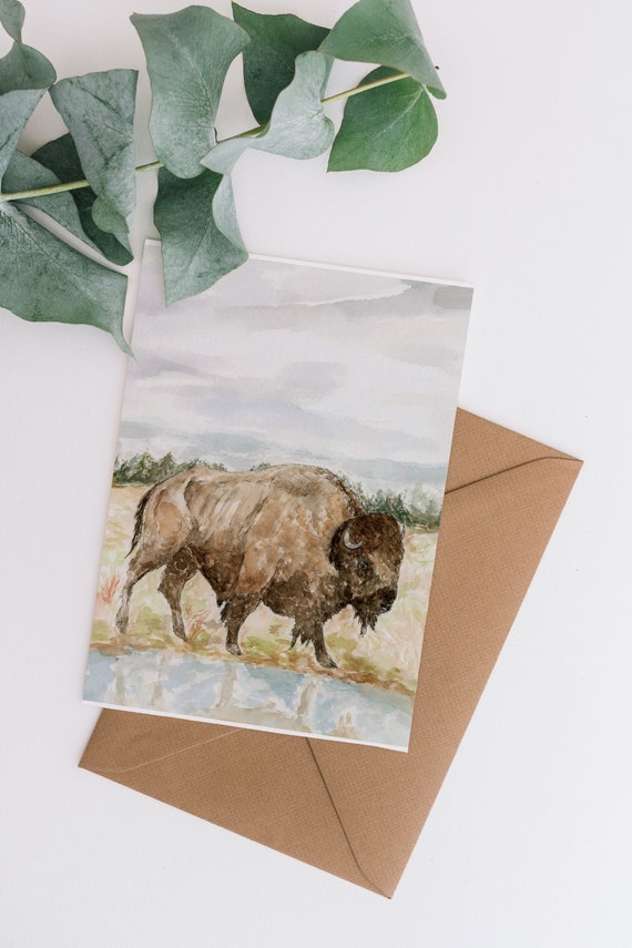 Bison Card Greeting Card Animal Card Birthday Card Blank - Etsy