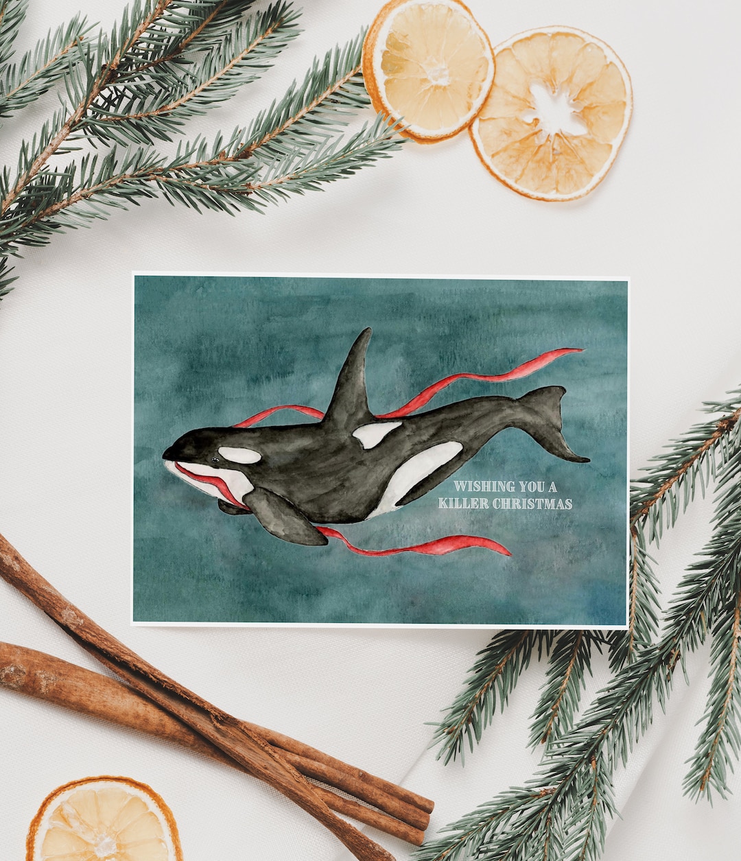 Orca Christmas Card, Killer Whale, Christmas Card, Christmas Card Set ...