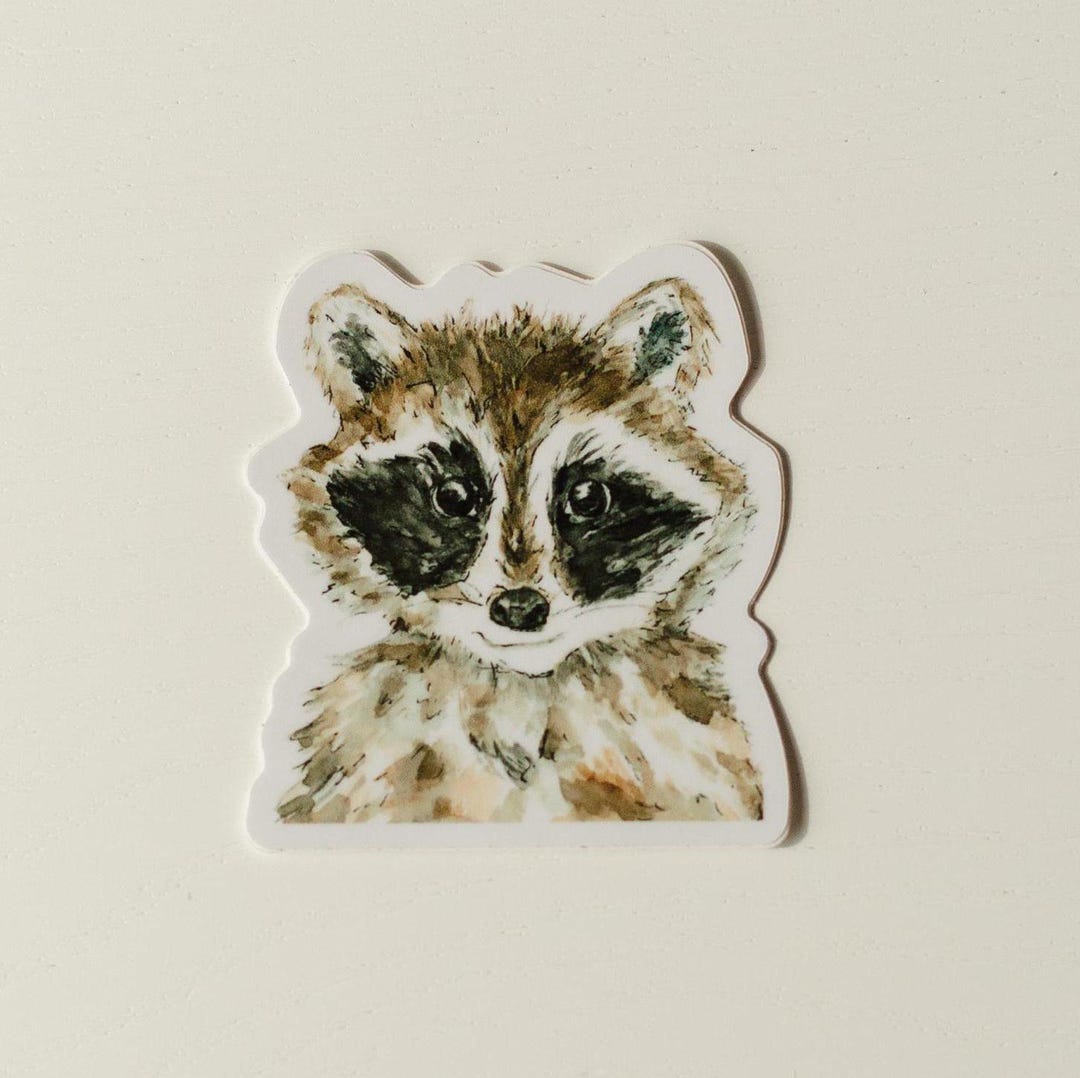 Raccoon Vinyl Sticker, Raccoon Decal, Woodland Sticker, Waterproof ...