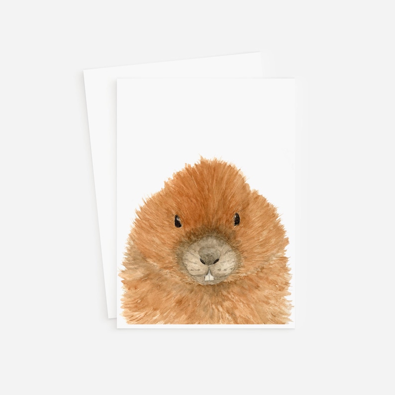 Beaver Greeting Card - Beaver Artwork - Funny Card - Canadian Made - Etsy