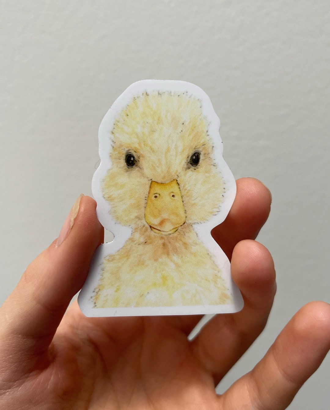 Duck Vinyl Sticker, Sticker, Waterproof Sticker, Duckling Sticker ...