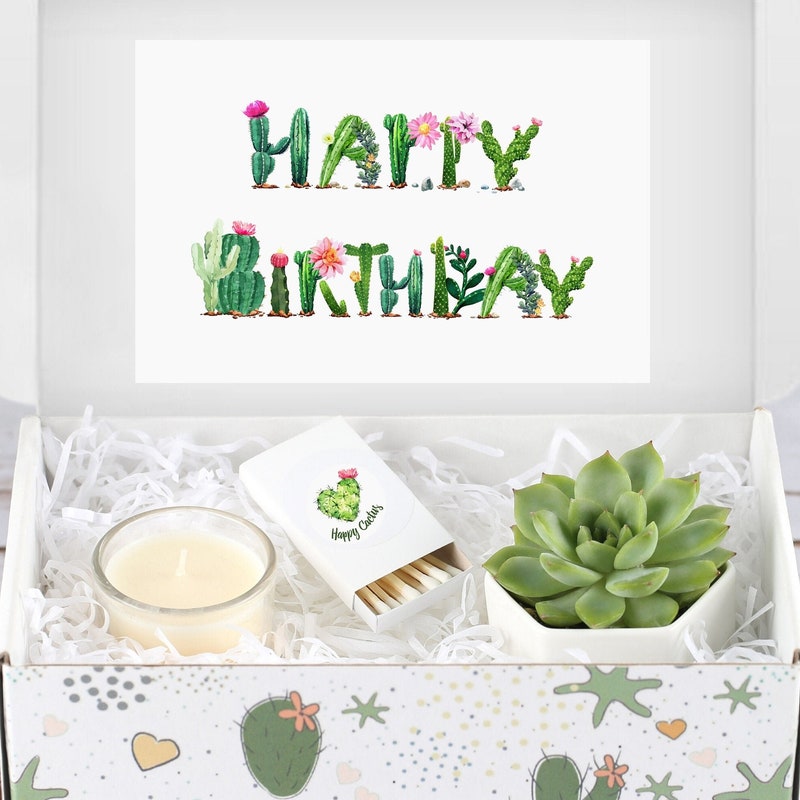 Cactus Gifts - 60+ Gift Ideas for 2025
