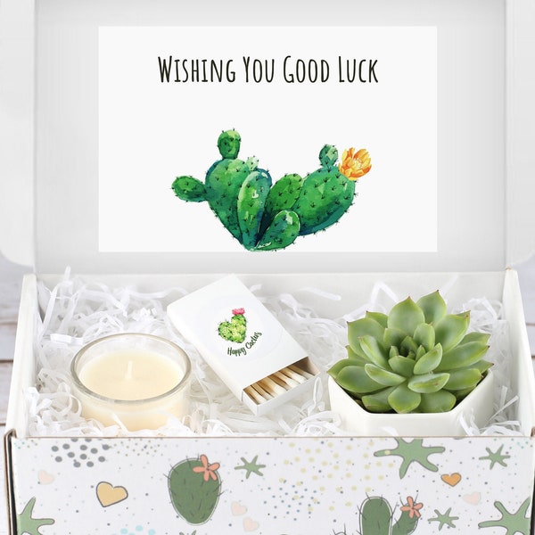 Good Luck Gifts - 60+ Gift Ideas for 2024