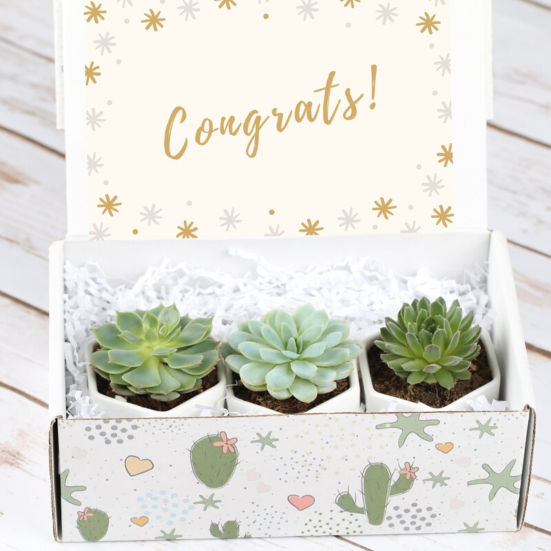 Congratulations Gift - 60+ Gift Ideas for 2025