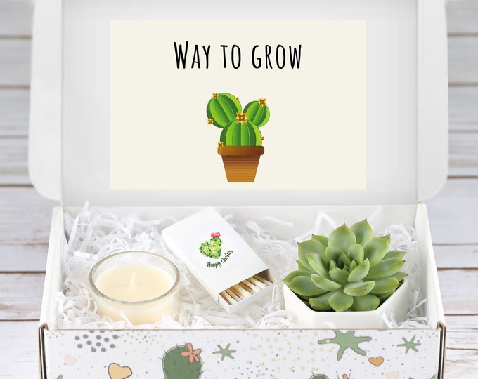 Way to Grow Gift - New Job Gift - New Promotion Gift Box - Succulent ...