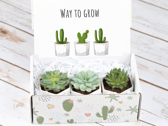 Promotion Gift New Job Gift Way to Grow Congratulations - Etsy