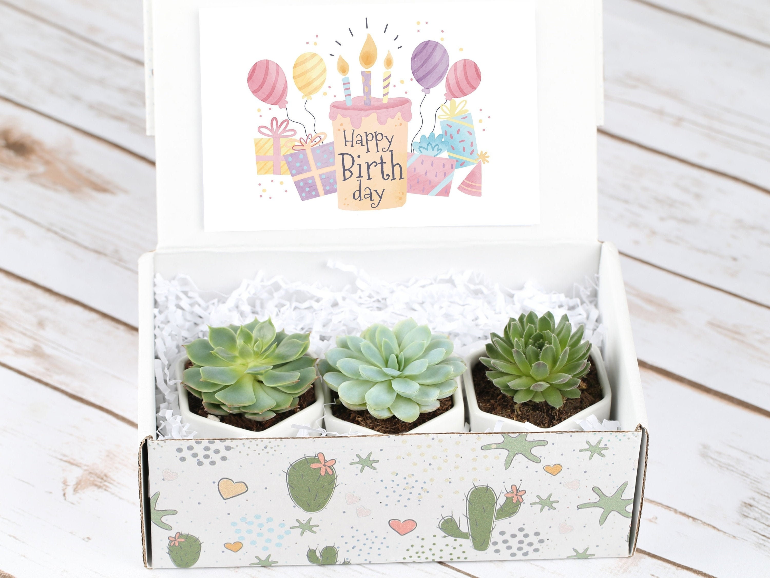 Wish You Happy Birthday Succulent Gift Box Succulents box | Etsy