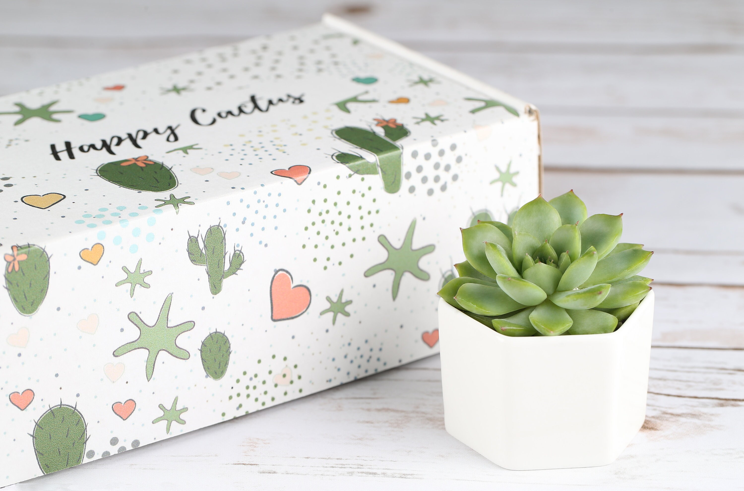 You Are Loved - Live Succulent Gift - Gift for Friend - Thinking of You ...