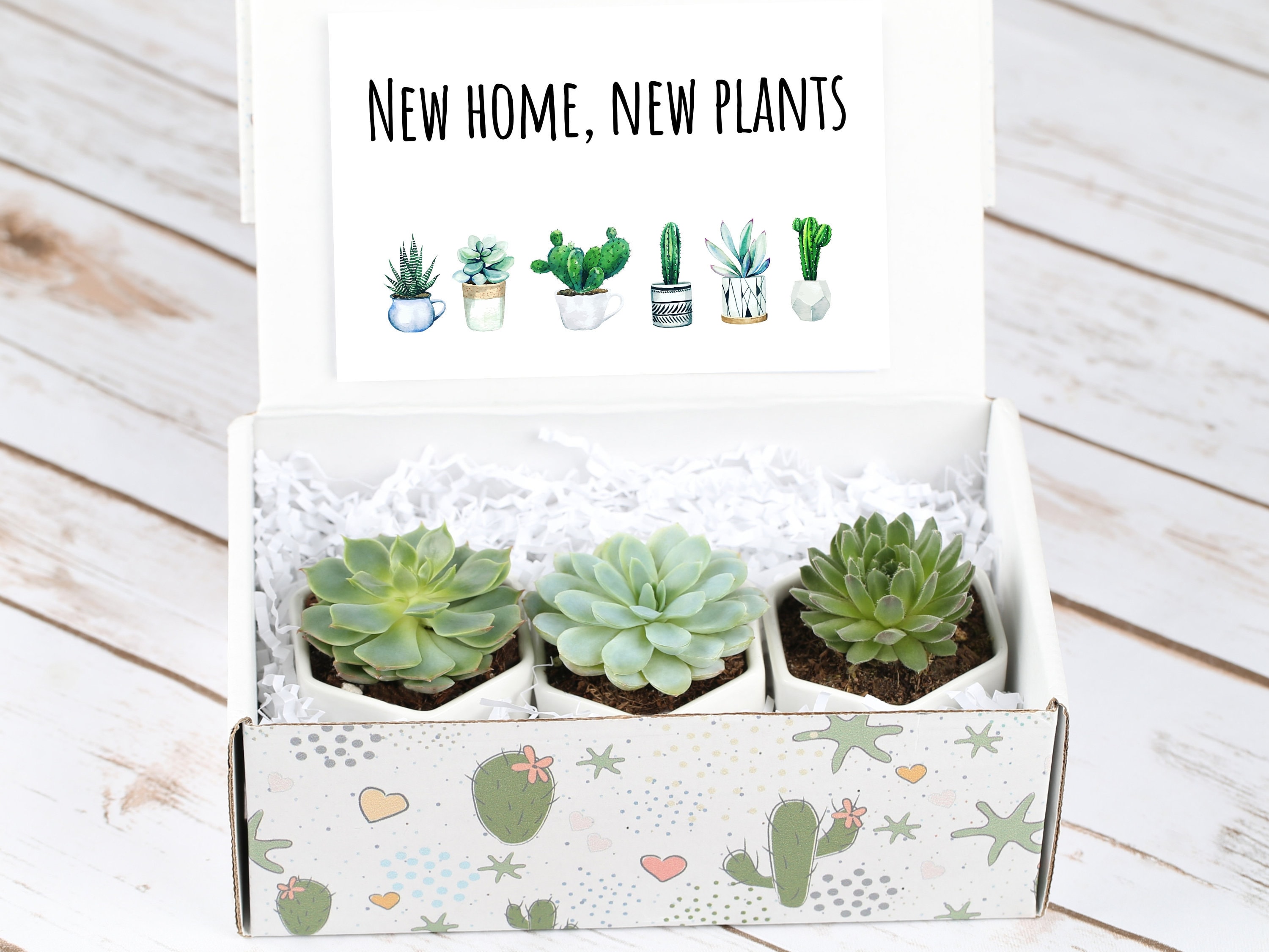 New Home Gift Congratulations Gift Box Housewarming Gift | Etsy