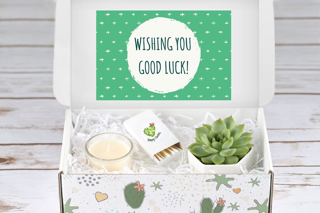 Wishing You Good Luck Good Luck Gifts Gifts for Coworker Live Succulent ...