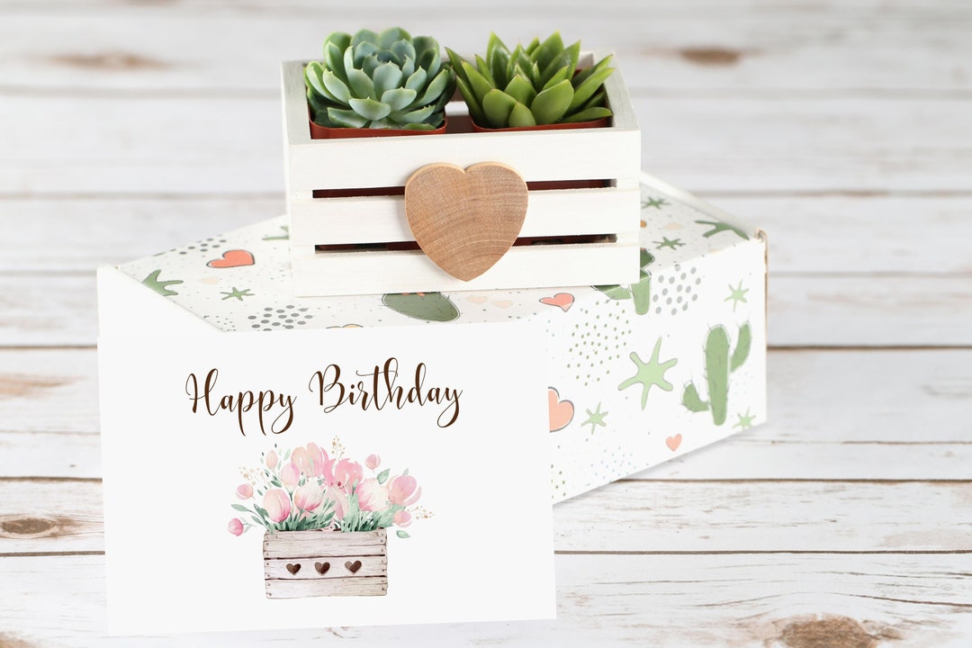 Two Live Succulents in Wooden Box With Card- Happy Birthday Gift Box ...