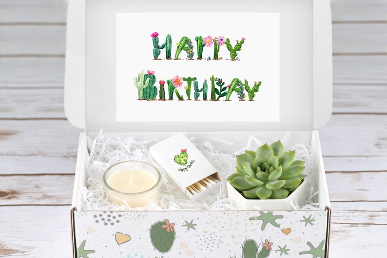 Happy Bday Cacti Gift Box Live Succulent Personalized | Etsy