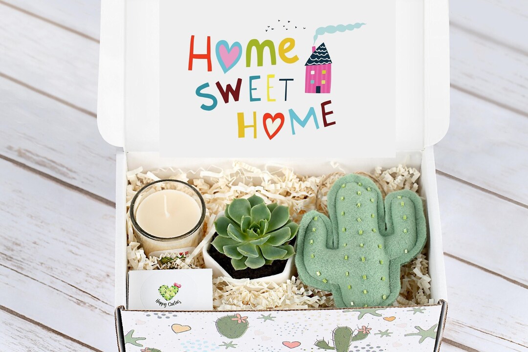Home Sweet Home Gift Box With Live Succulent and Handmade Cactus ...