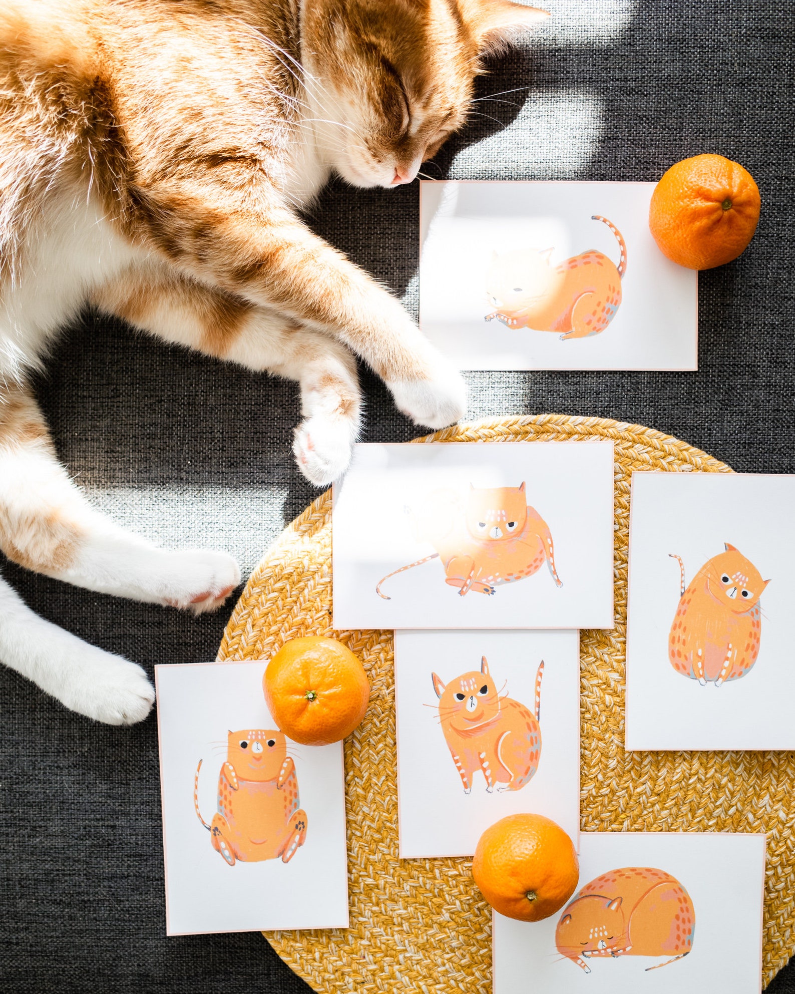 Orange Tabby Cat 4 X 6 Postcard/print Set Ginger Cat Postcards, Cute ...