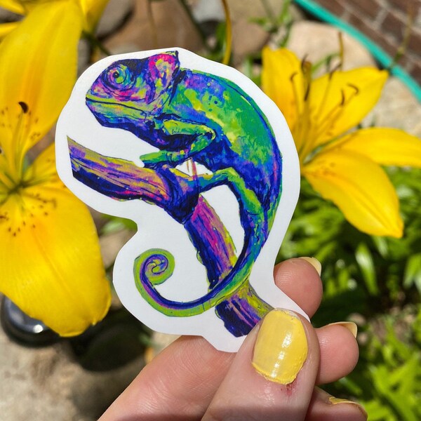 Colorful Chameleon - Etsy