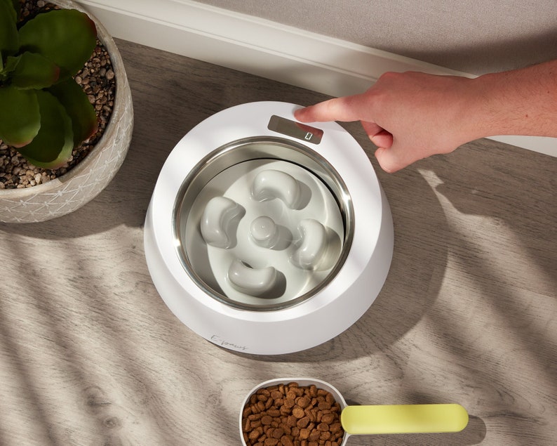 Intelligent Digital Pet Dog Weighing Bowl - Personalised - With Added ...