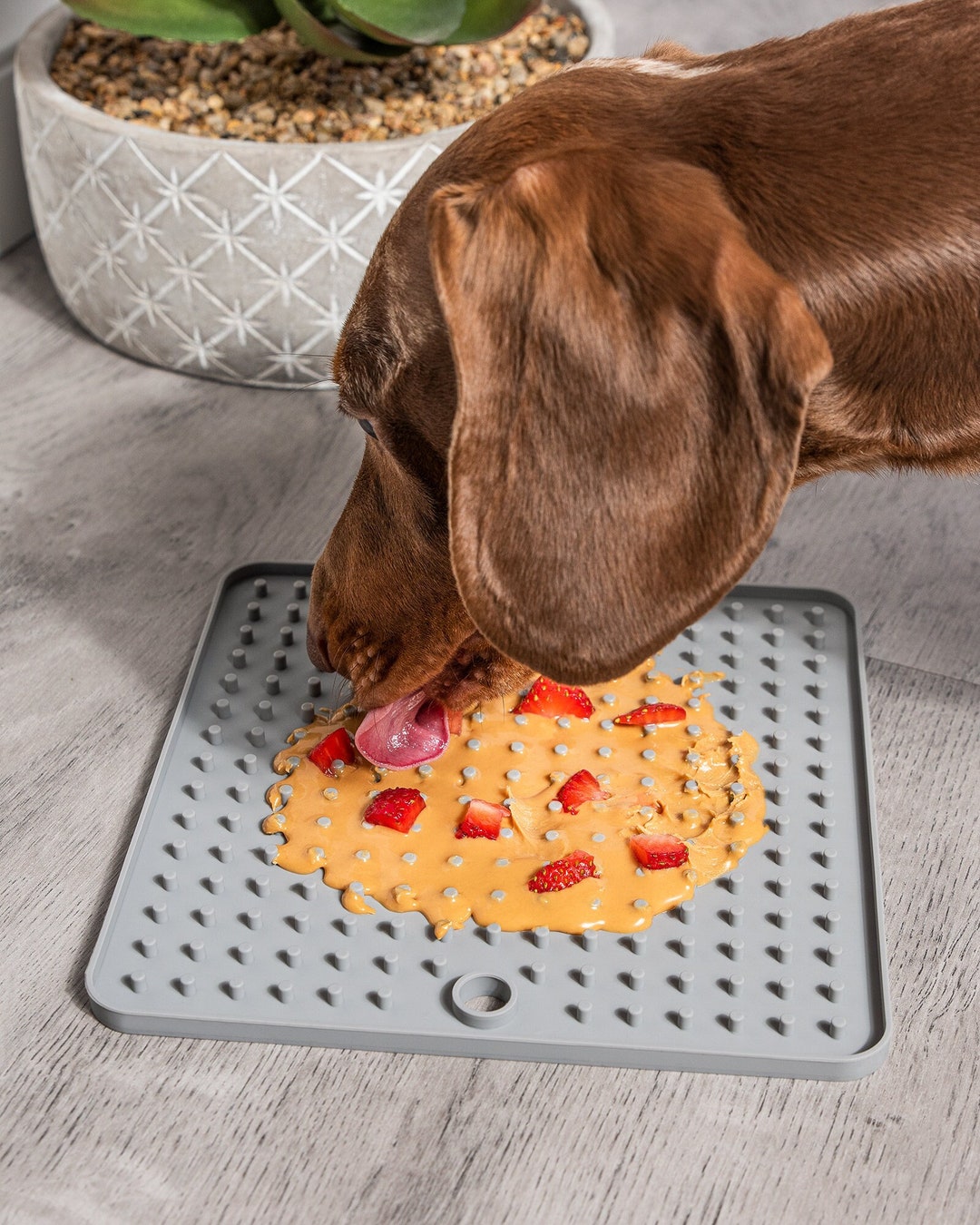 Pet Lick Mat Dog Licking Mat Lick Pad for Dogs Dog Treats Dog Feeder Dog Bowl Puppy Mat E-paws ...
