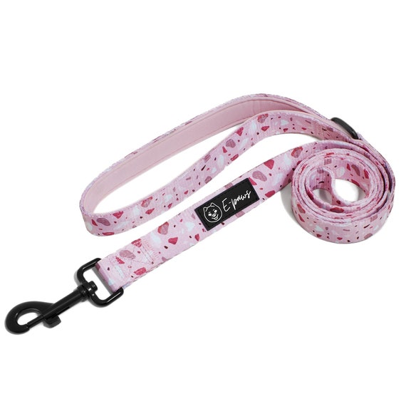 Burst of Pink Lead Leash Matching Set E-paws Pink and - Etsy UK